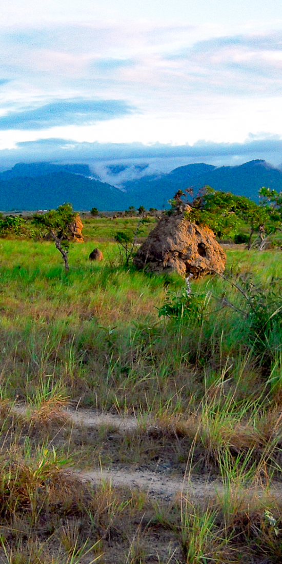 Itineraries – Adventure Guianas